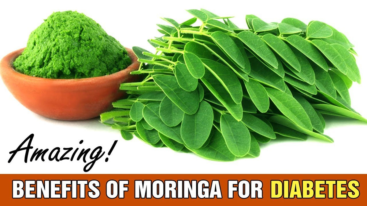 Four Reasons Why Every Diabetic Could Benefit from Moringa Oleifera ...